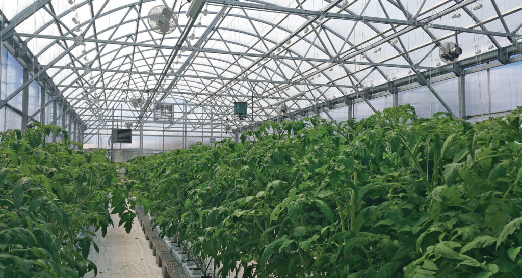7 Spruce Farm | GrowSpan