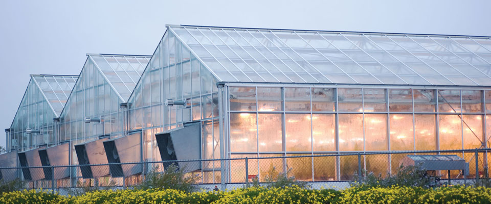 GrowSpan Greenhouse Structures | Commercial Solutions
