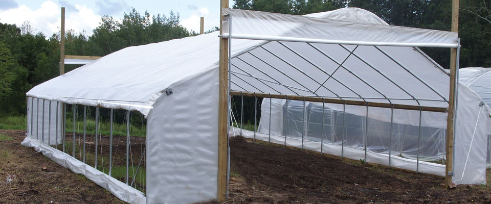 Gothic Premium High Tunnels | GrowSpan