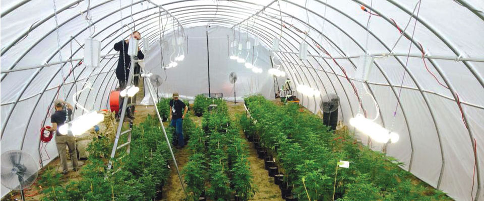 High & Low Tunnels | GrowSpan