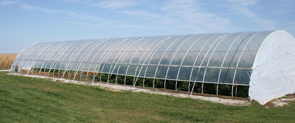 Top Ten High Tunnel Benefits – GrowSpan