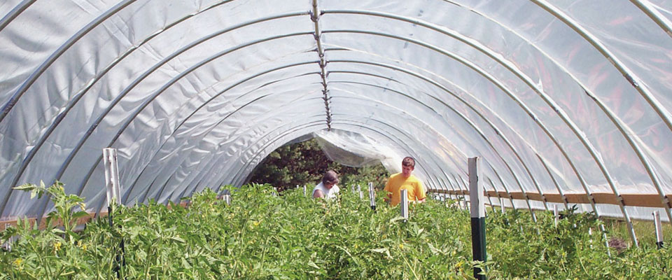 Rolling Premium High Tunnels | GrowSpan