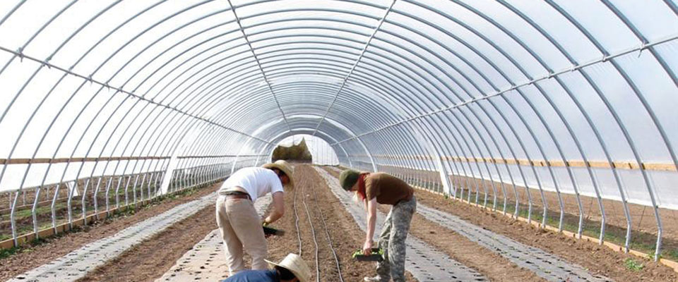 Rolling Premium High Tunnels | GrowSpan