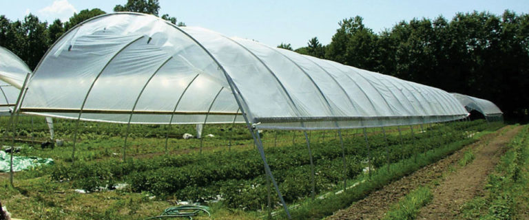GrowSpan High Tunnels | GrowSpan