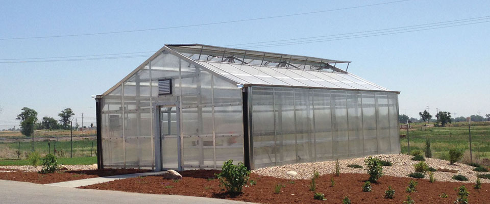 Series 2000 Commercial Greenhouses: The Ideal Polycarbonate Greenhouse | GrowSpan
