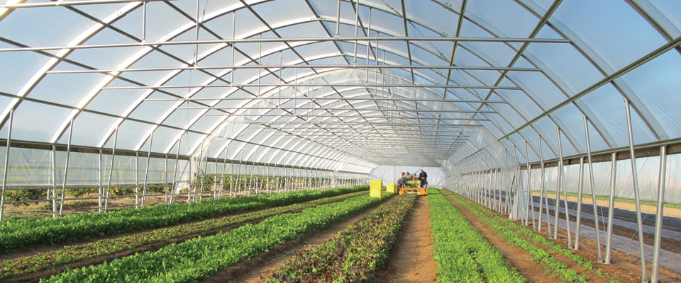 GrowSpan Structures | GrowSpan