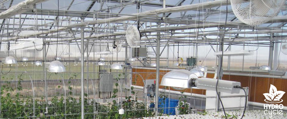 Ventilation Methods: Low-Tech to Automated High-Tech | GrowSpan