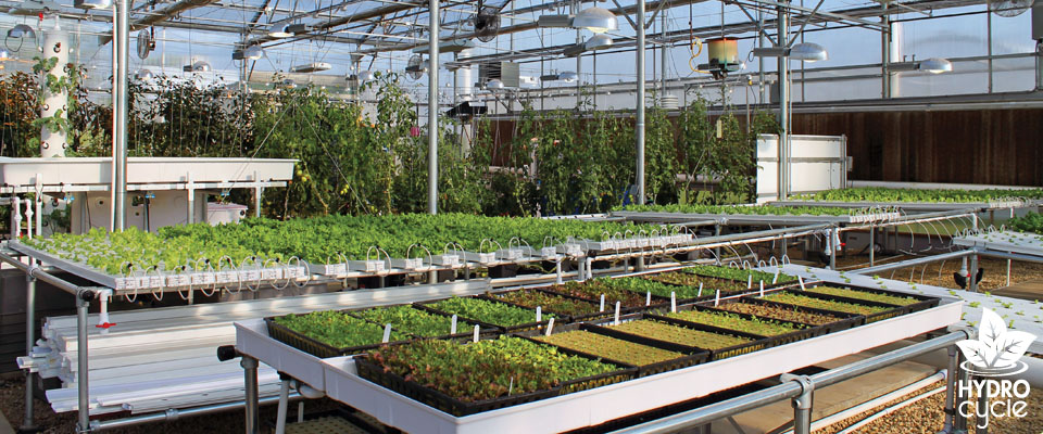Hydrocycle Systems | GrowSpan
