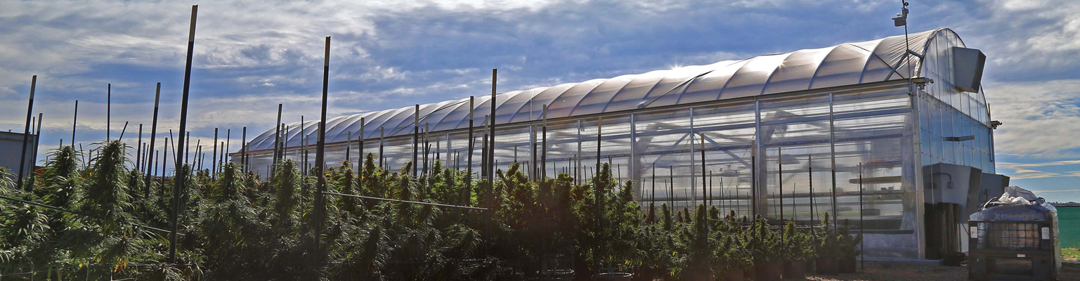GrowSpan Greenhouse Structures | Commercial Solutions