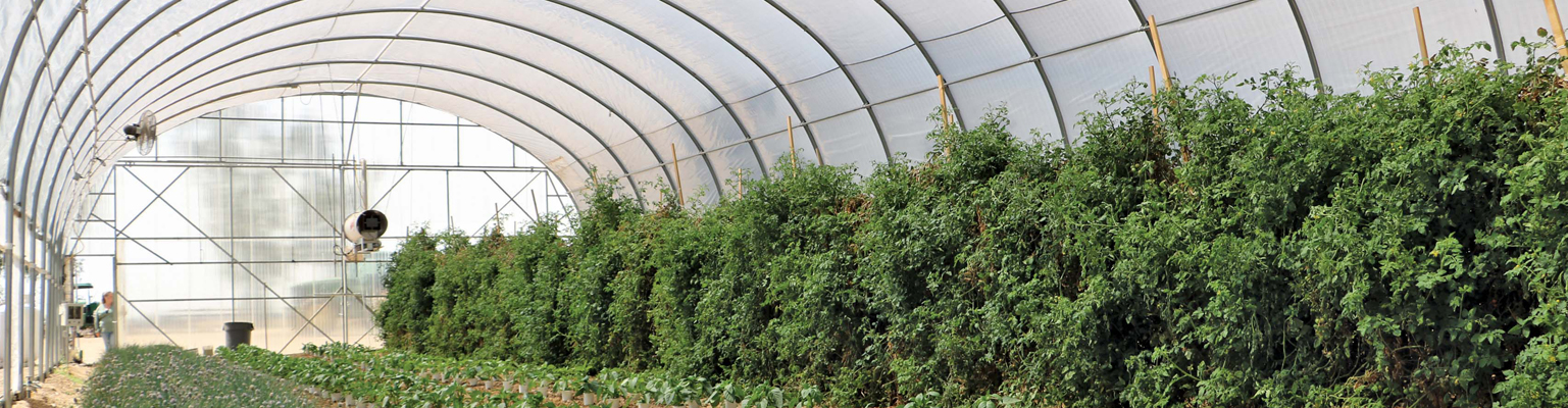 GrowSpan Greenhouse Structures | Commercial Solutions