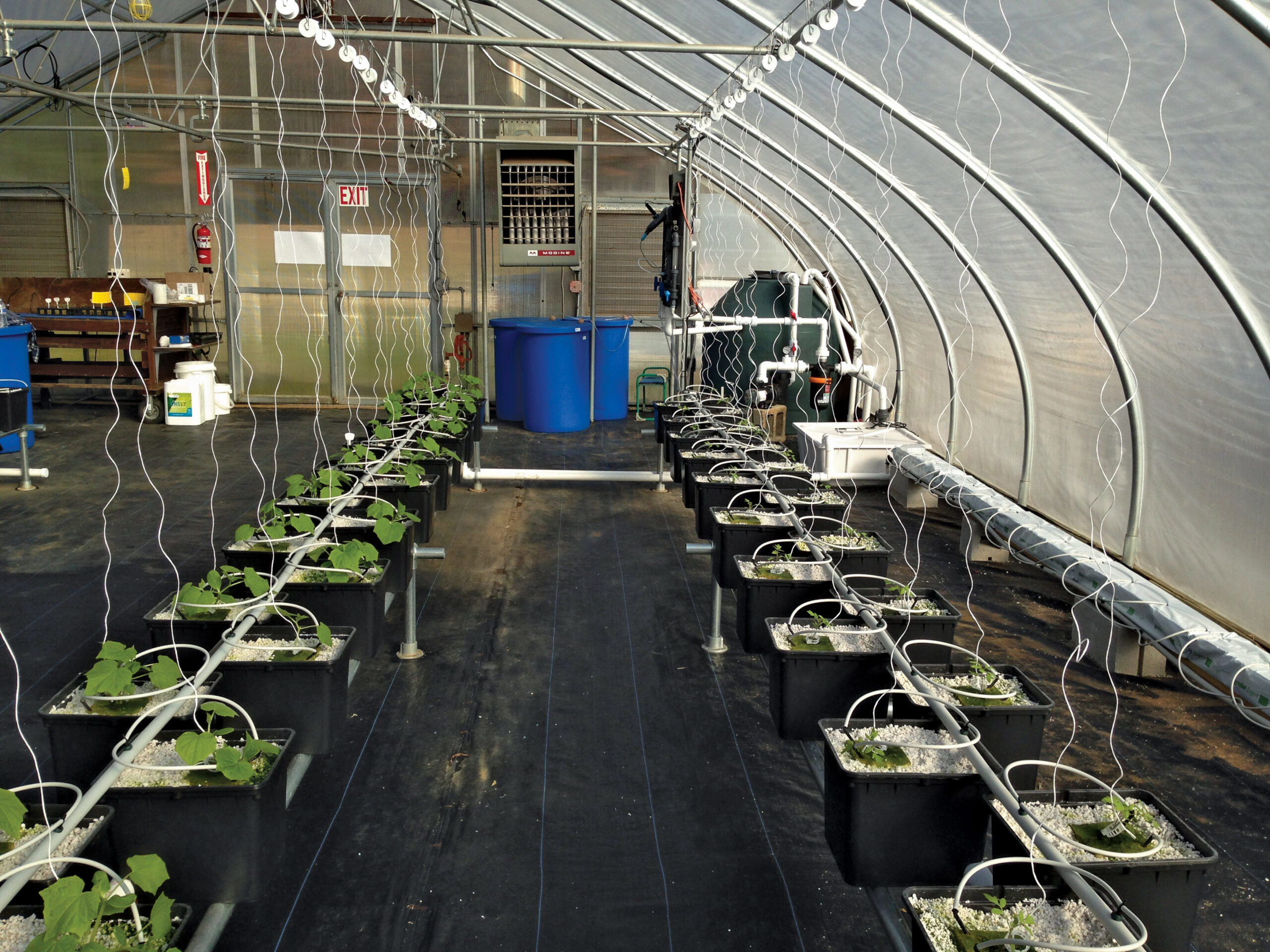 The Basics Of Fertigation: How Growers Can Implement Fertigation Systems