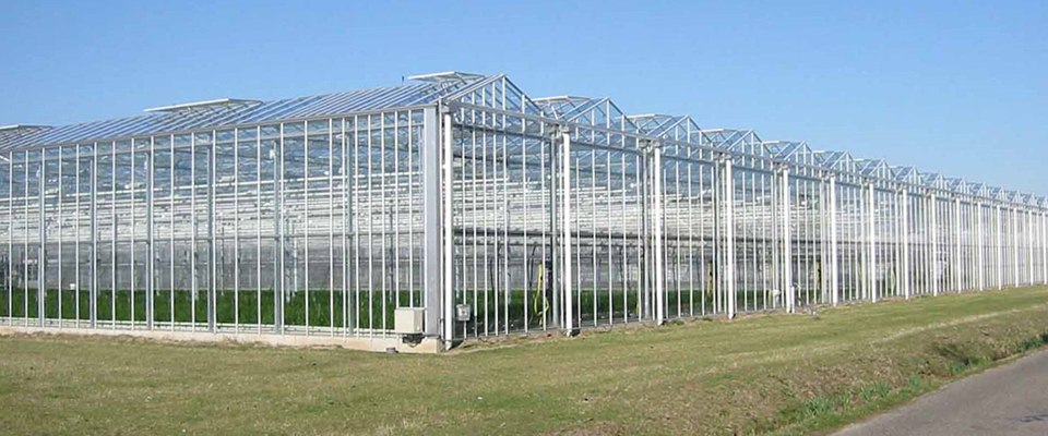 Setting Up A Commercial Greenhouse