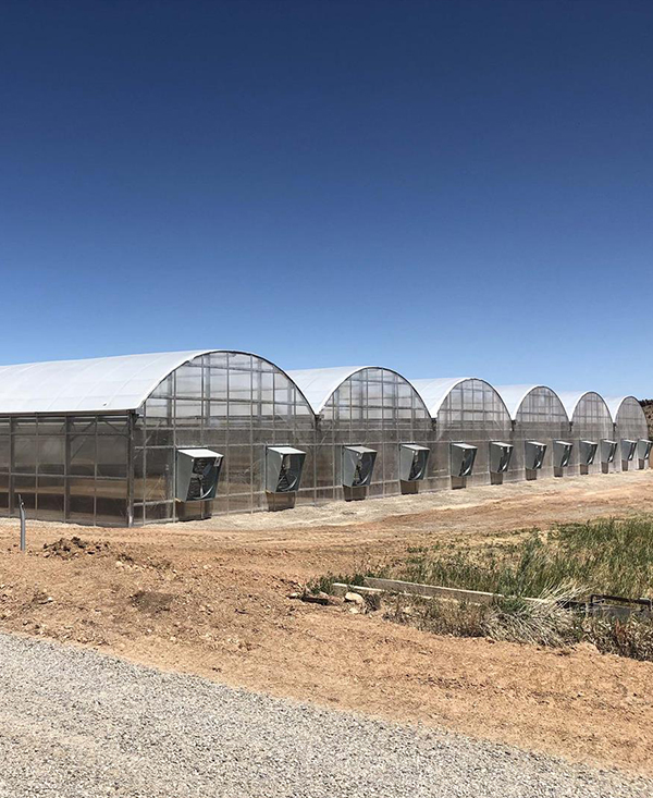 GrowSpan Greenhouse Structures | Commercial Solutions