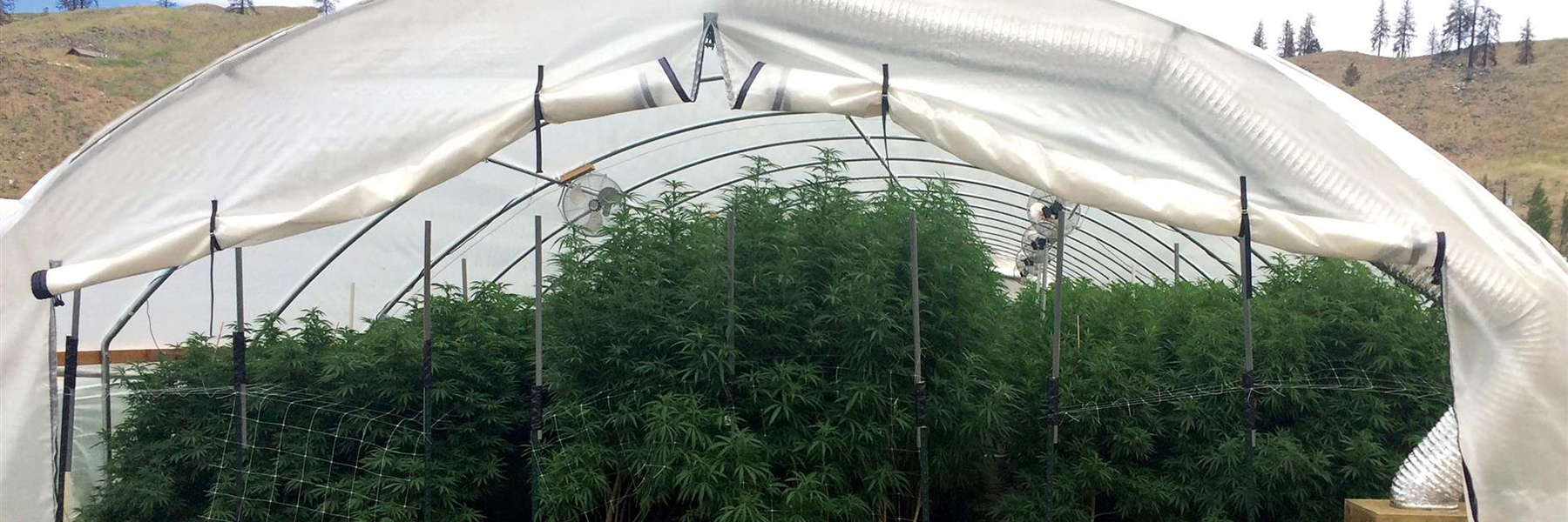 High & Low Tunnels | GrowSpan