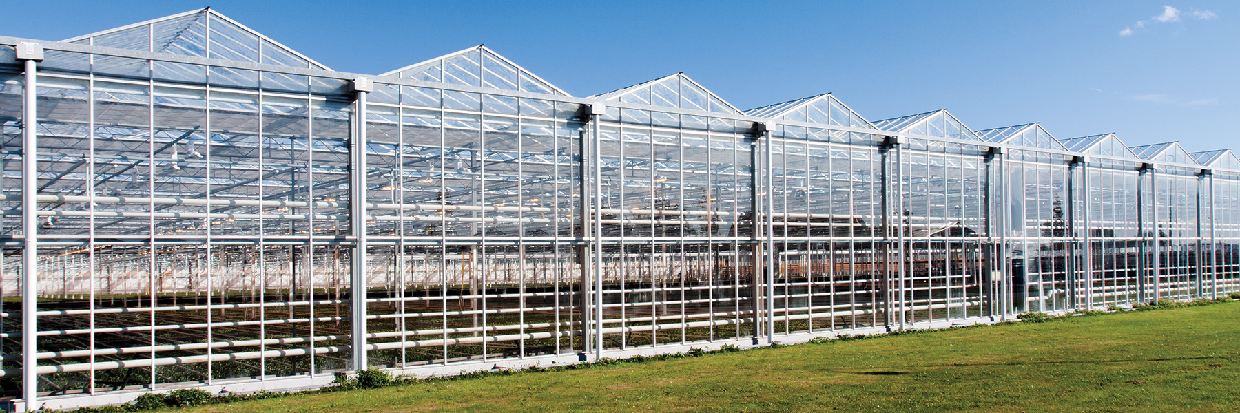 Commercial Greenhouses | GrowSpan