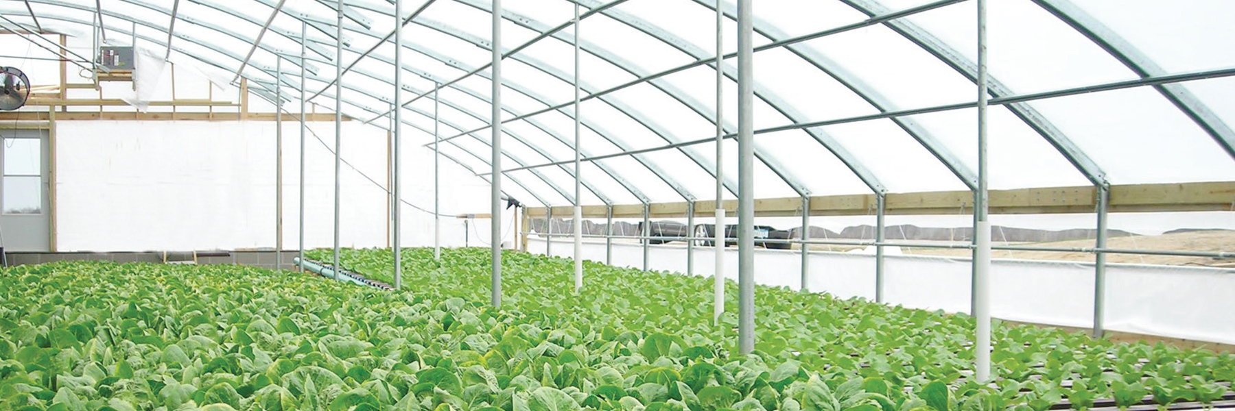 Round Pro Greenhouses | GrowSpan