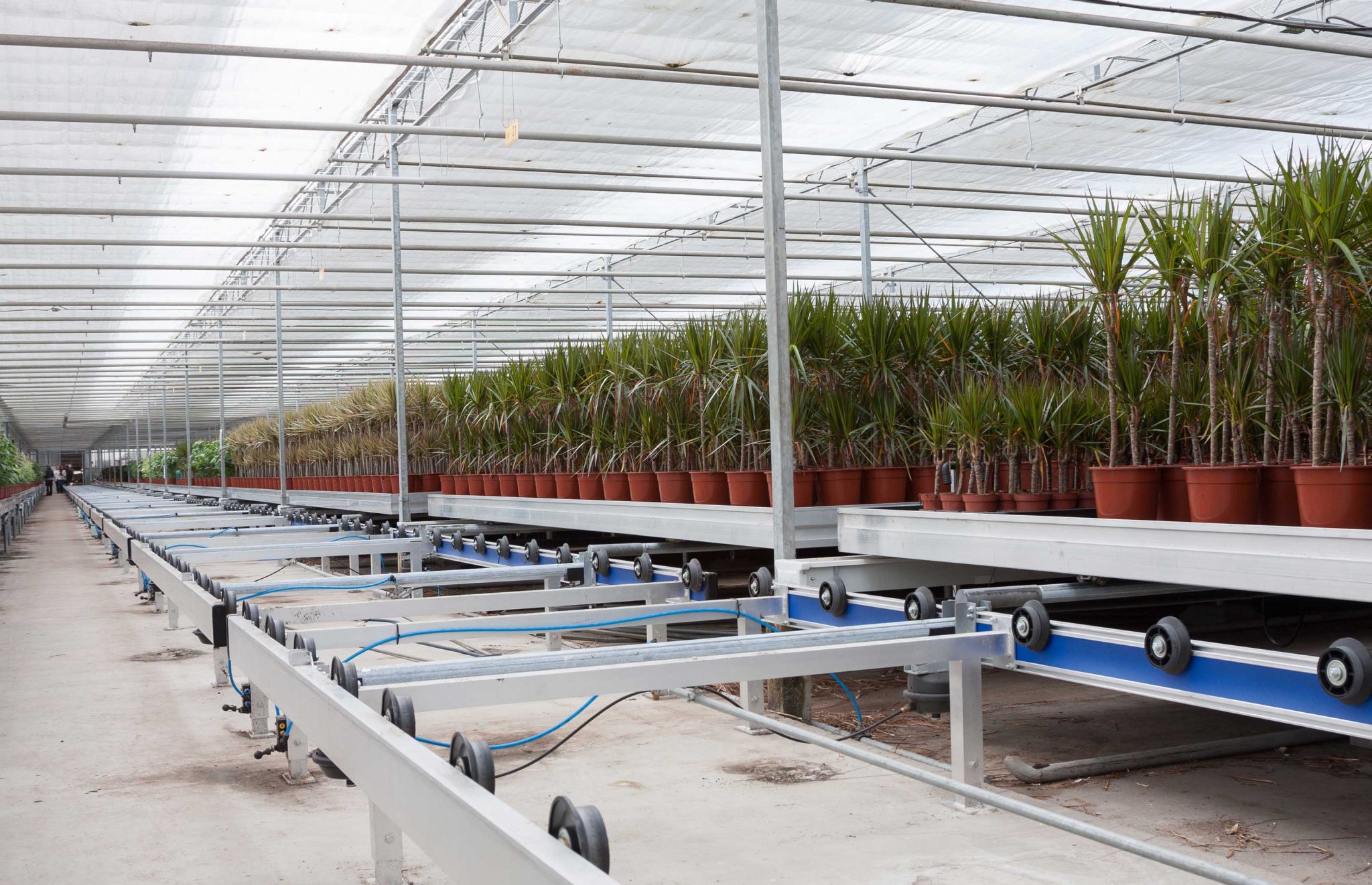 Commercial Greenhouse Benches, Rolling Benches and Automated Mobile ...