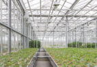 GrowSpan Greenhouse Structures | Commercial Solutions