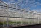 GrowSpan Greenhouse Structures | Commercial Solutions
