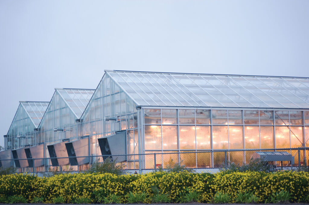 How A Polycarbonate Greenhouse Kit Can Improve A Grow Op | GrowSpan