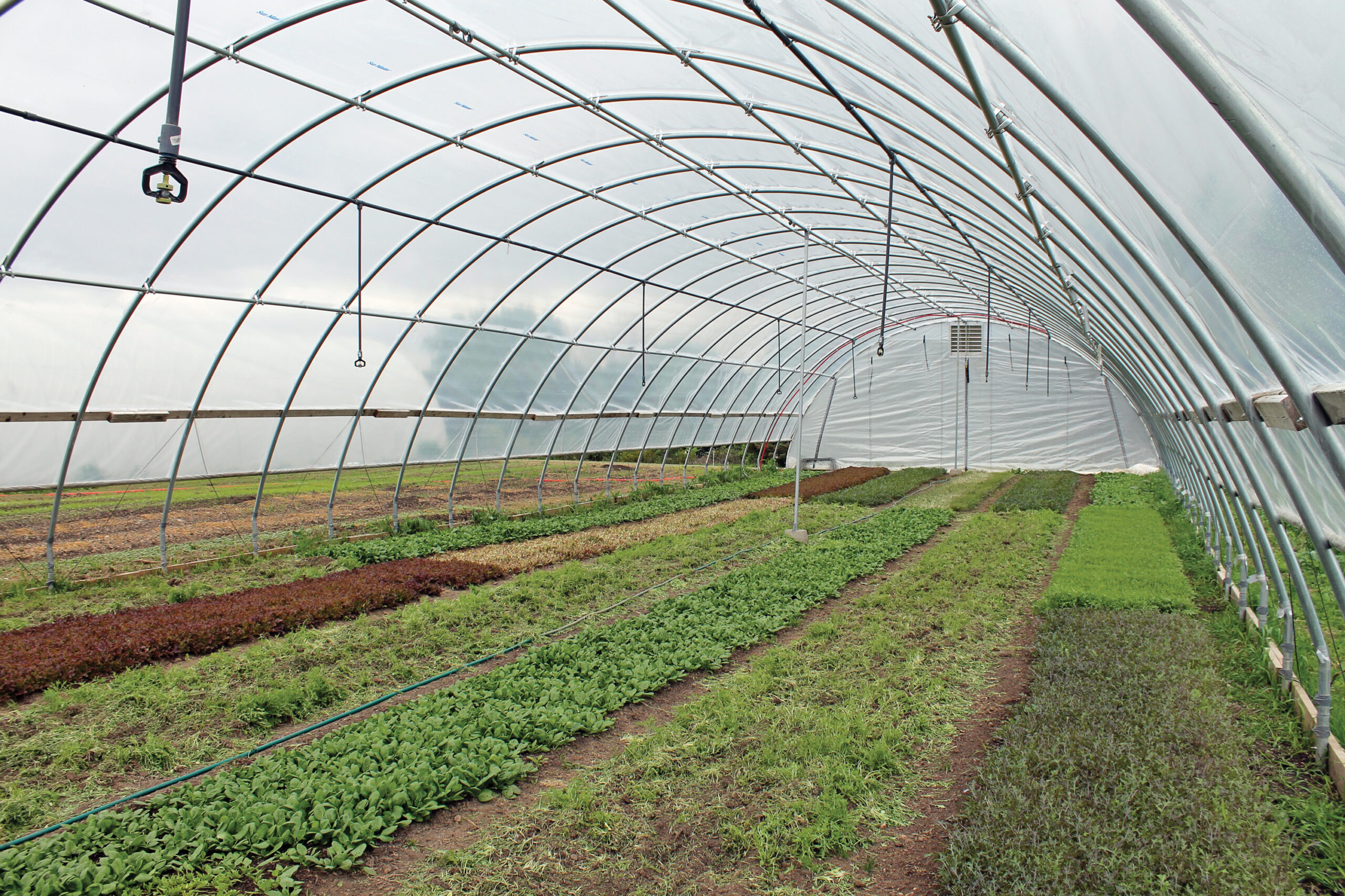 The Guide To High Tunnel Production: Using A High Tunnel Hoop House And High Tunnel Grant To ...