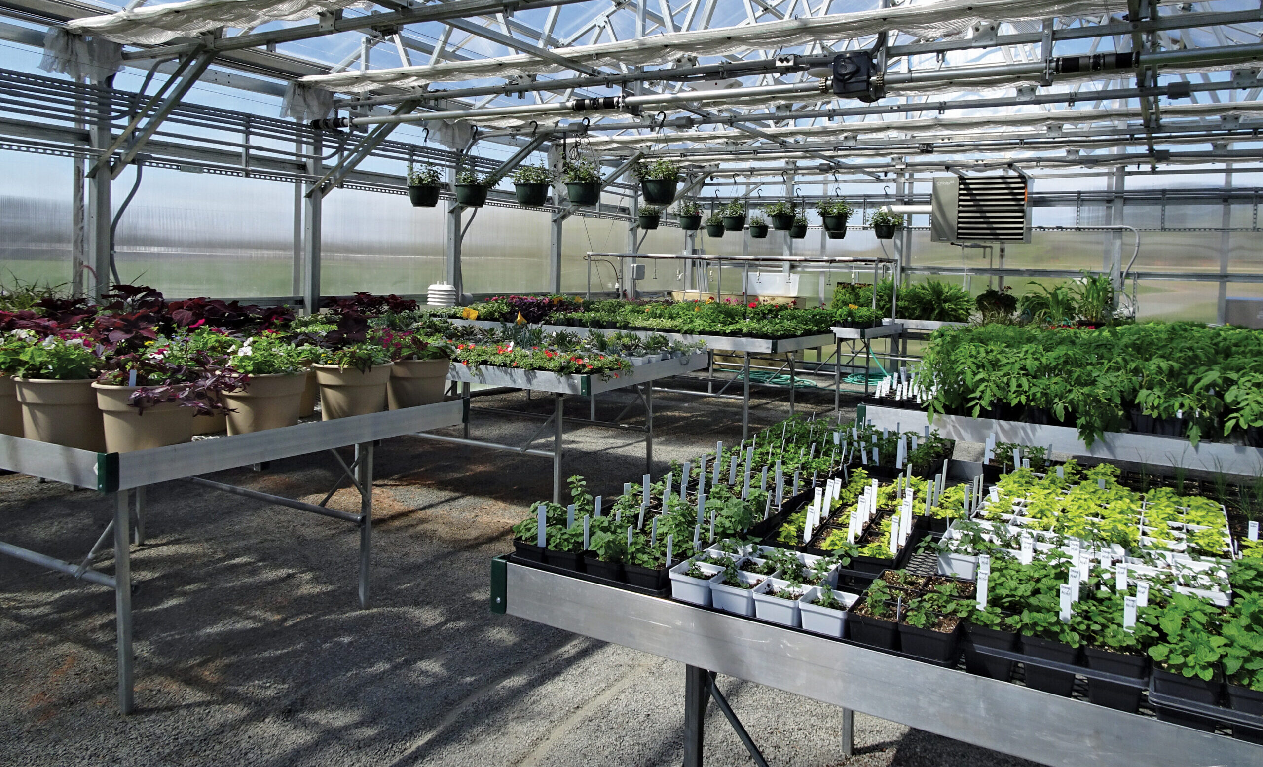 Implementing Greenhouse Shelving To Optimize Growing Space | GrowSpan