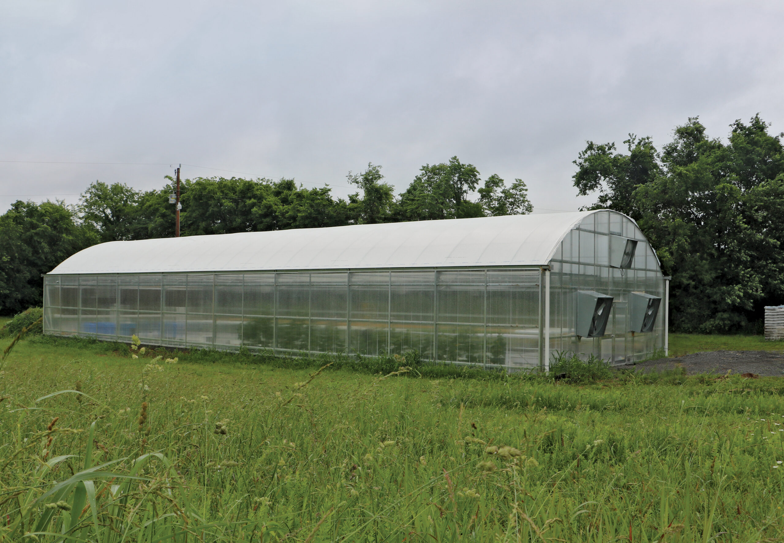 GrowSpan Greenhouse Structures | Commercial Solutions
