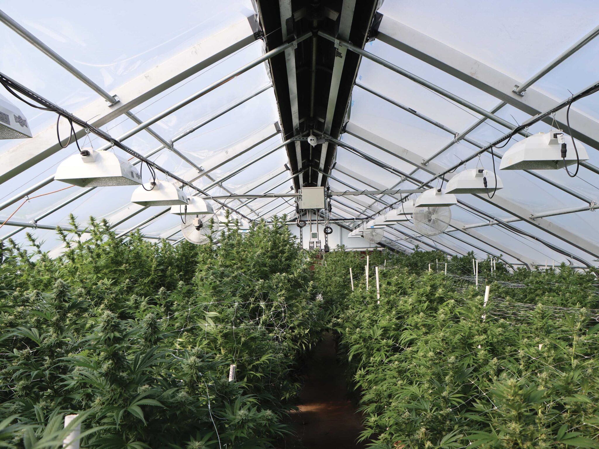 Production | GrowSpan