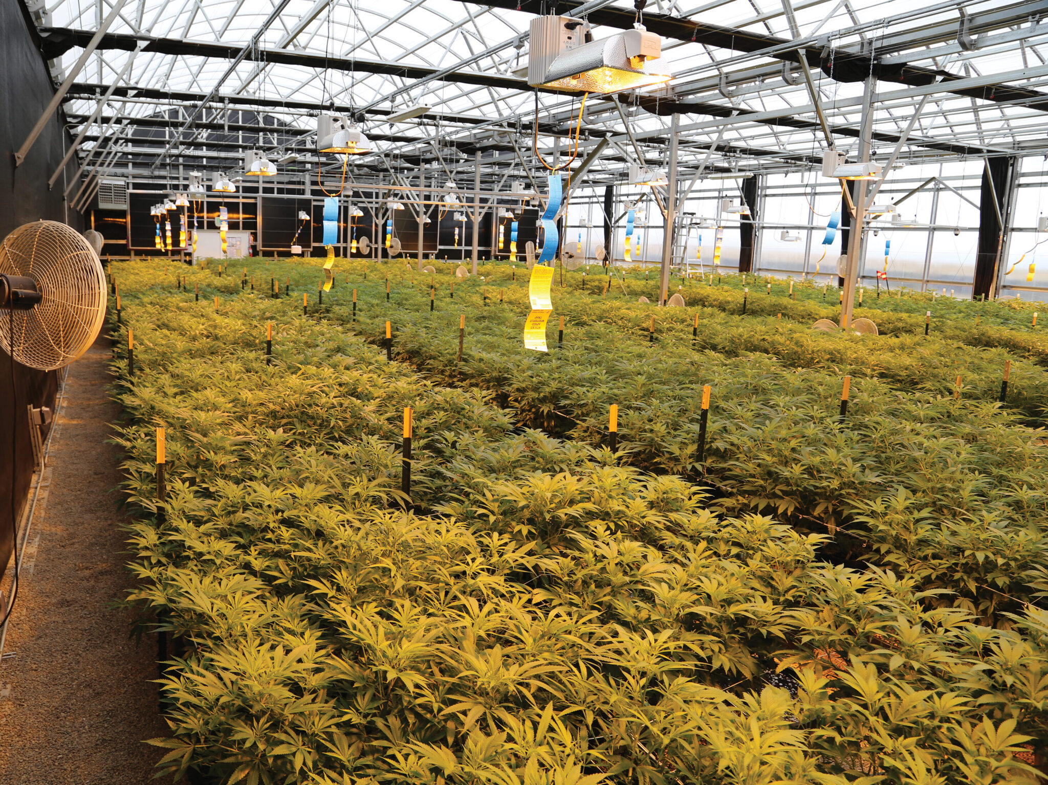 News | GrowSpan