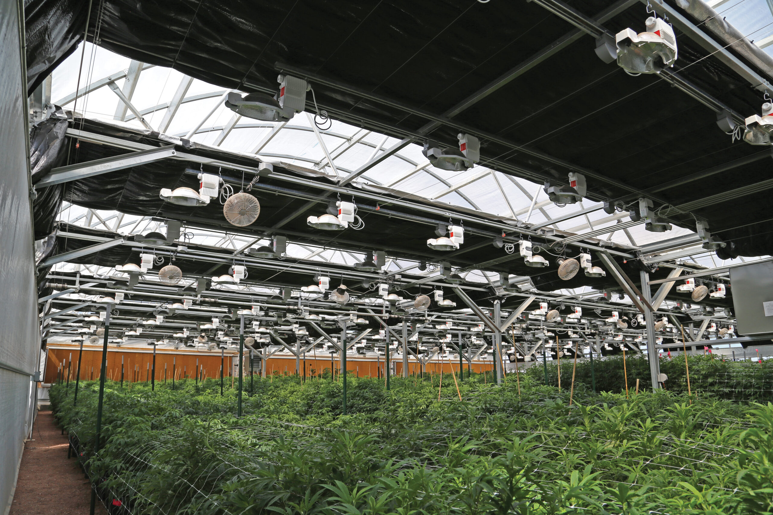 Making Life Easier With A Light Dep Greenhouse Kit | GrowSpan