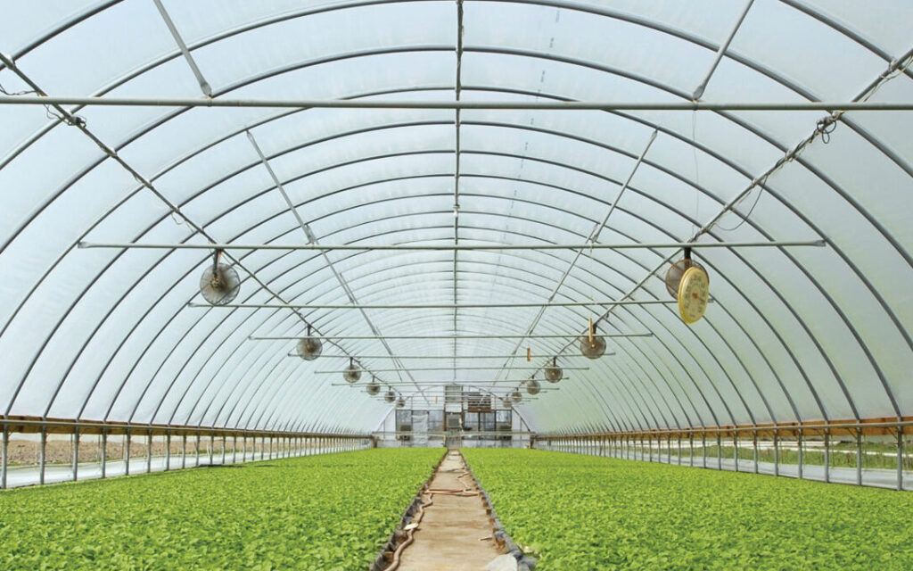 NRCS High Tunnel Grants | GrowSpan