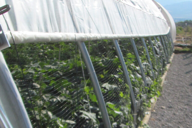 Top 10 High Tunnel Benefits | GrowSpan