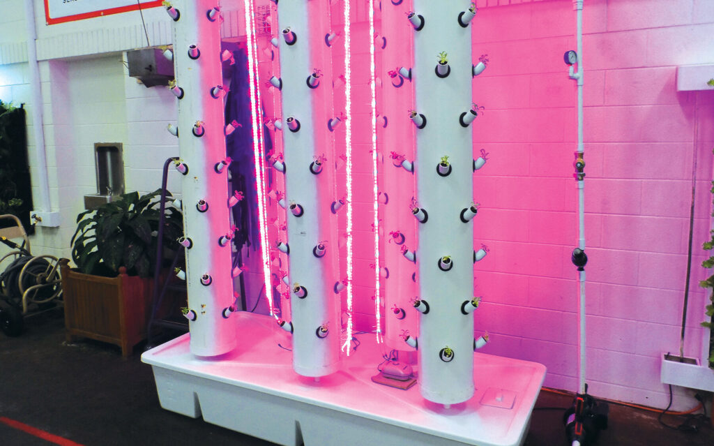 The Complete Guide To Hydroponic Growing Systems: Choosing The Right ...