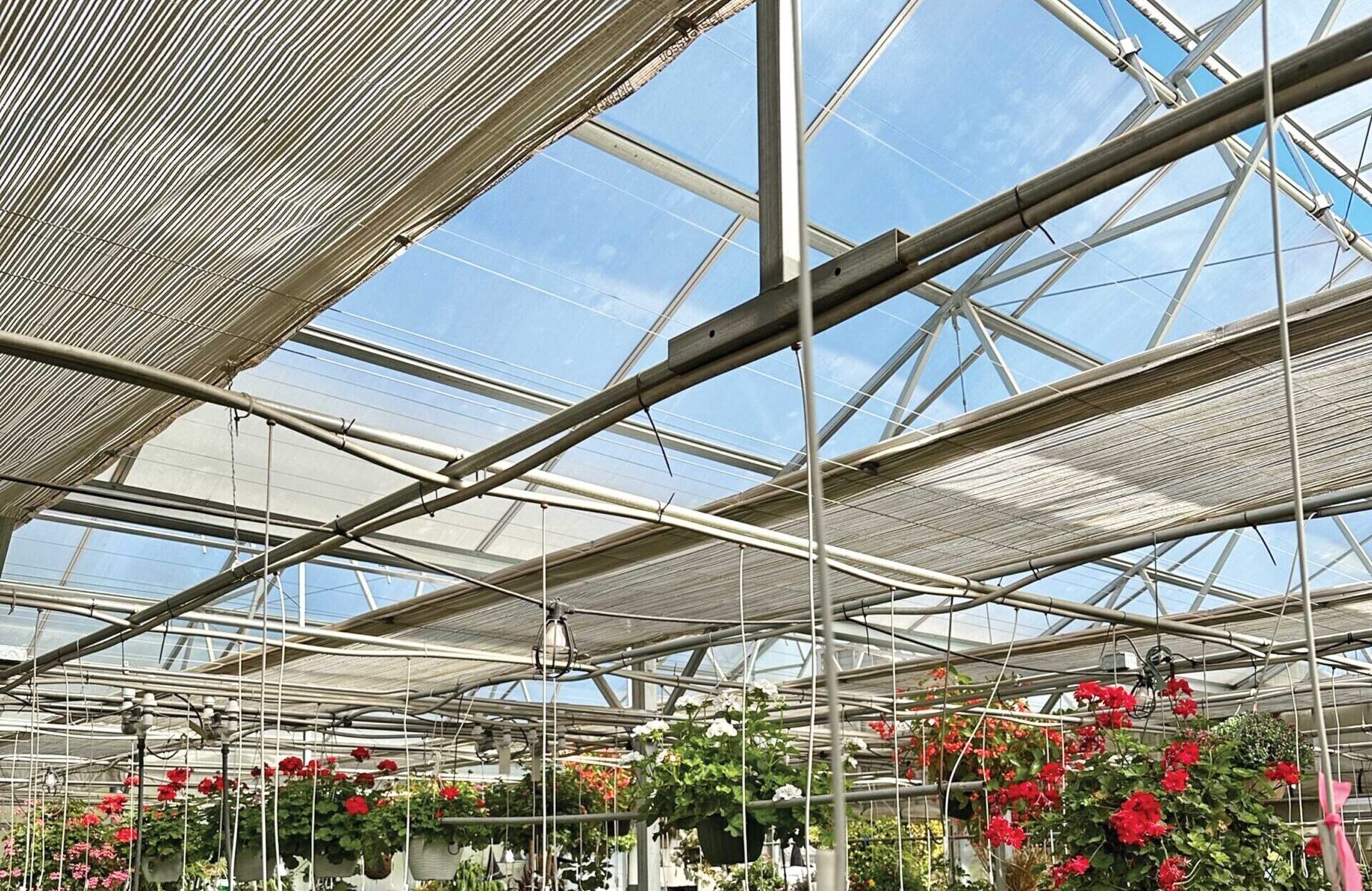 Cooling a Greenhouse: Everything You Need to Know to Beat the Heat ...