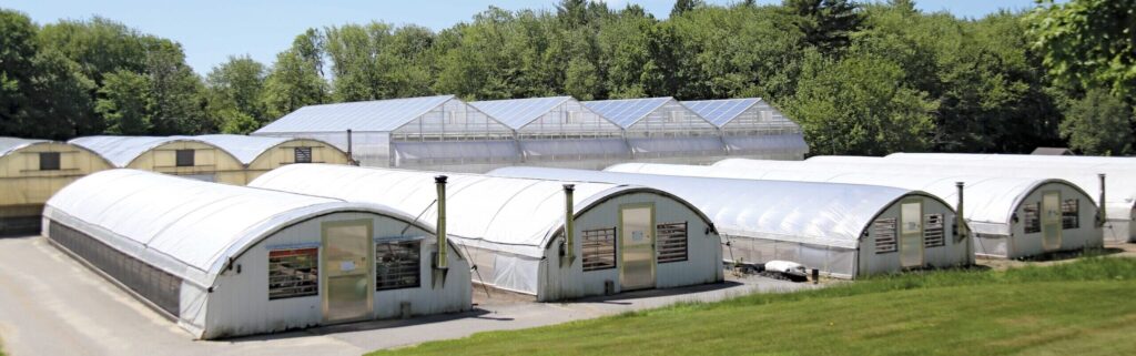 GrowSpan Greenhouse Structures | Commercial Solutions