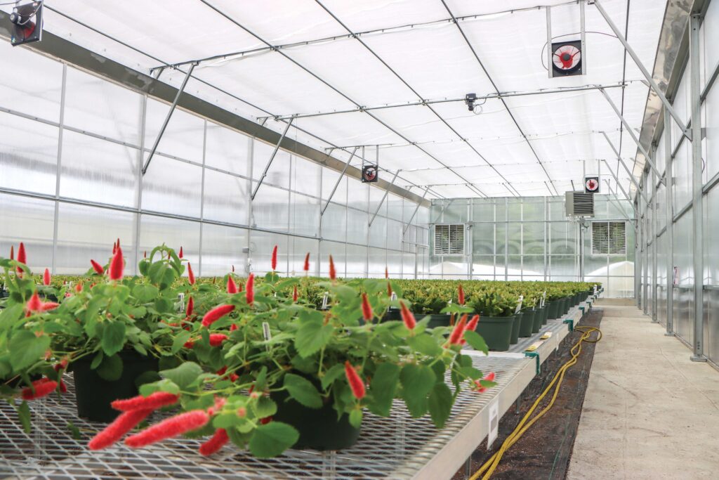 GrowSpan Greenhouse Structures | Commercial Solutions