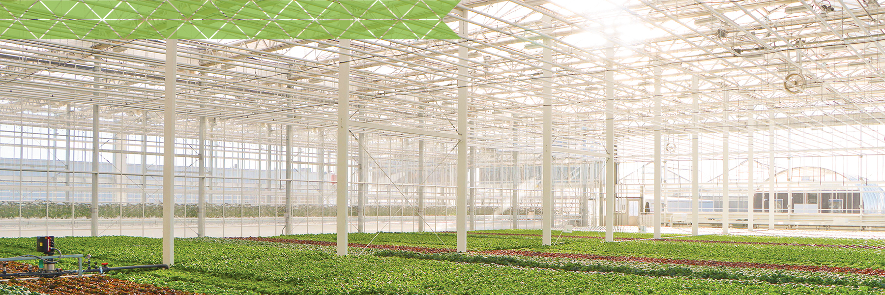 GrowSpan Greenhouse Structures | Commercial Solutions