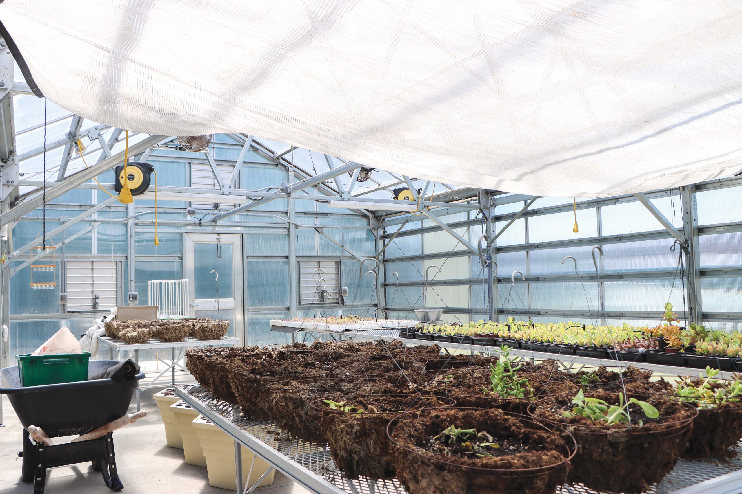 Flagler Palm Coast High School | GrowSpan