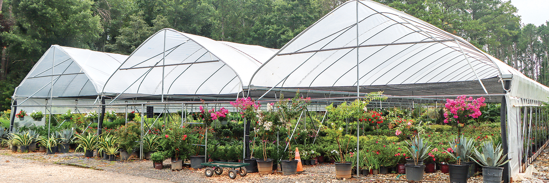 High Tunnels | GrowSpan